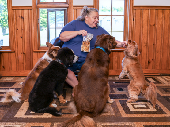 Home - Paws-N-Go - Play Space & More